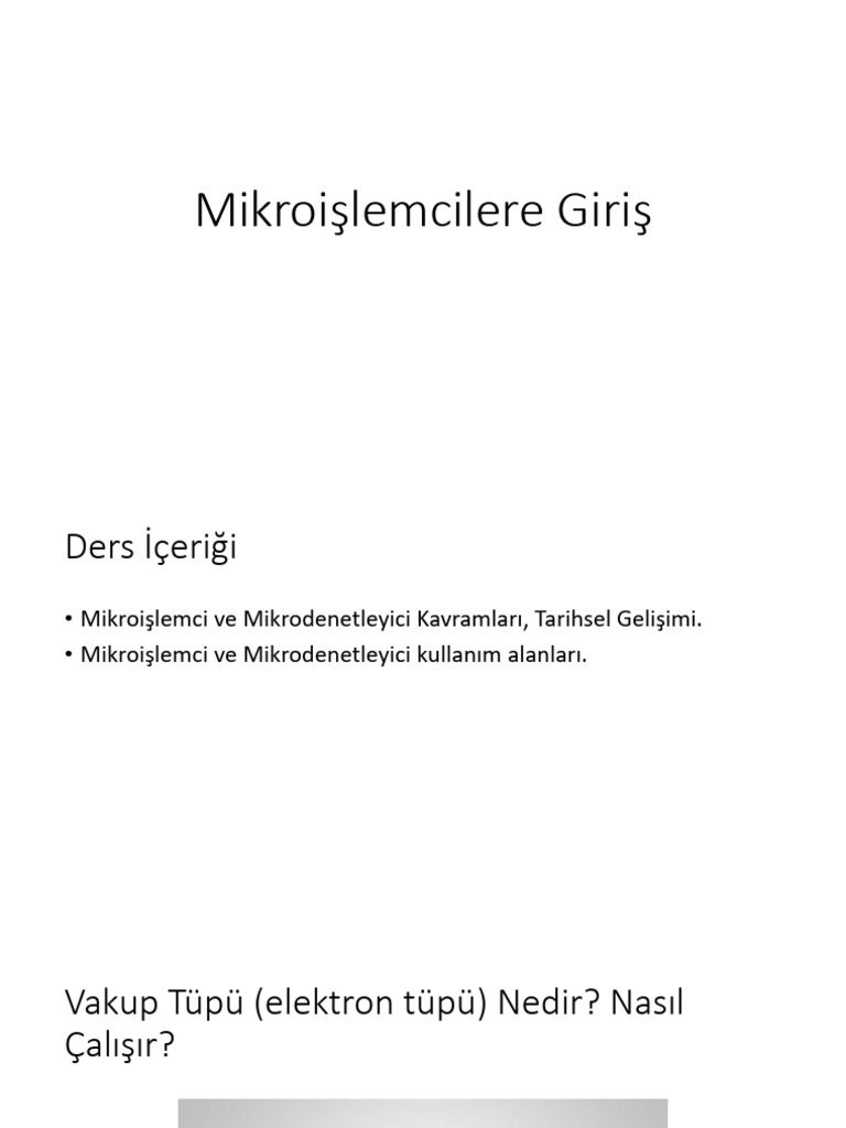Mikroislemcilere Giris | PDF