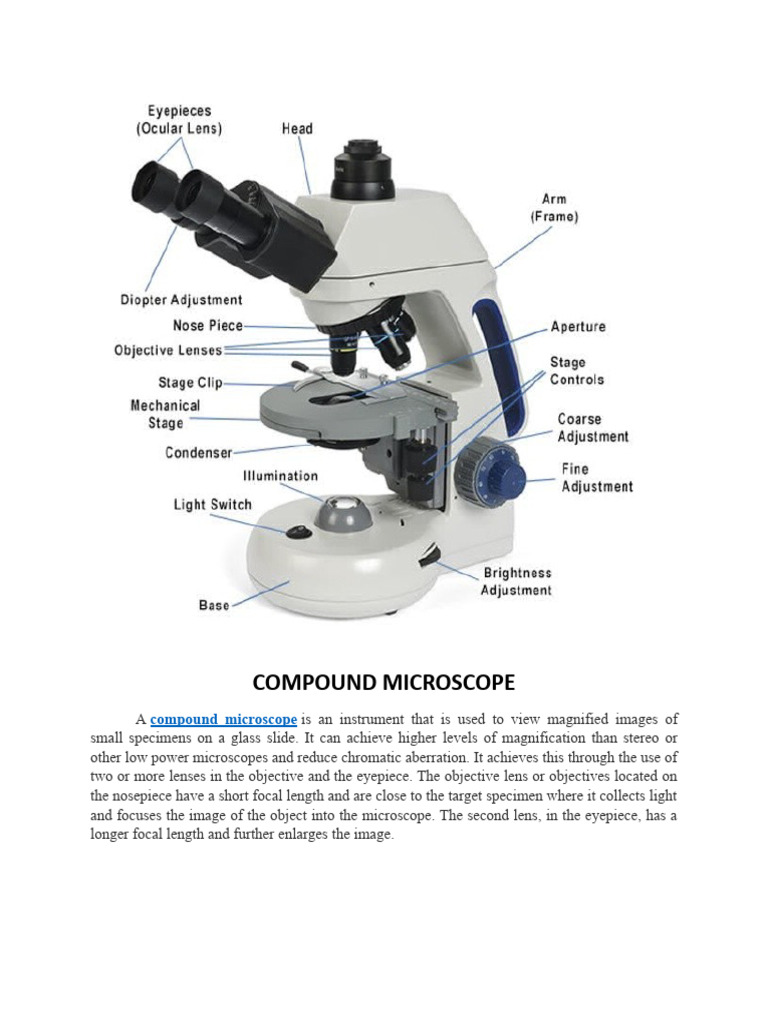 Compound Microscope Download Free Pdf Electromagnetic Radiation