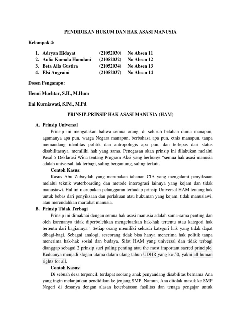 Kelompok 4 - Prinsip-Prinsip Ham | PDF
