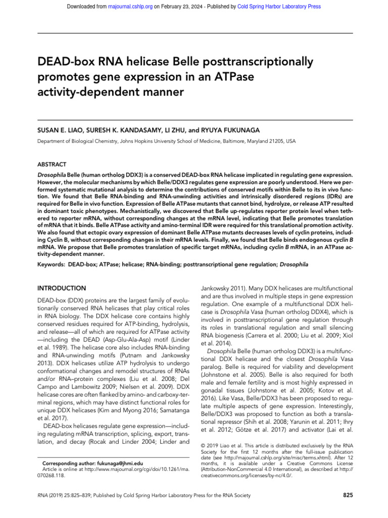RNA 2019 Liao 825 39 | PDF | Gene Expression | Messenger Rna