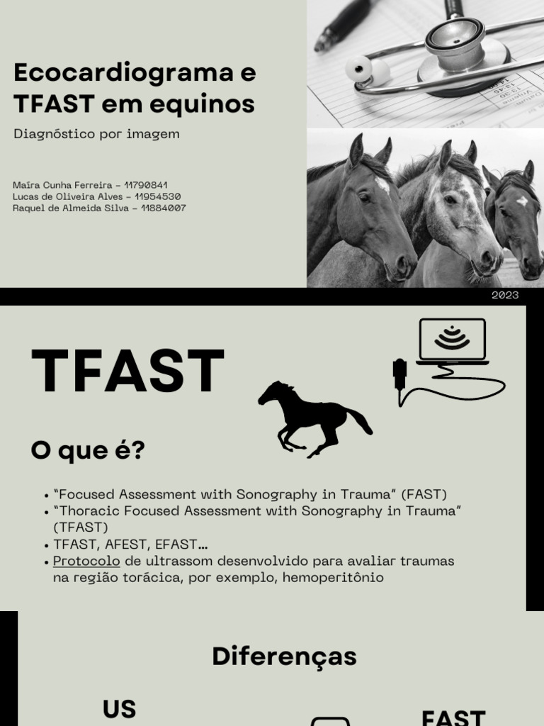 TFAST e Ecocardiograma em Equinos - Maíra C Ferreira | PDF | Cavalos ...