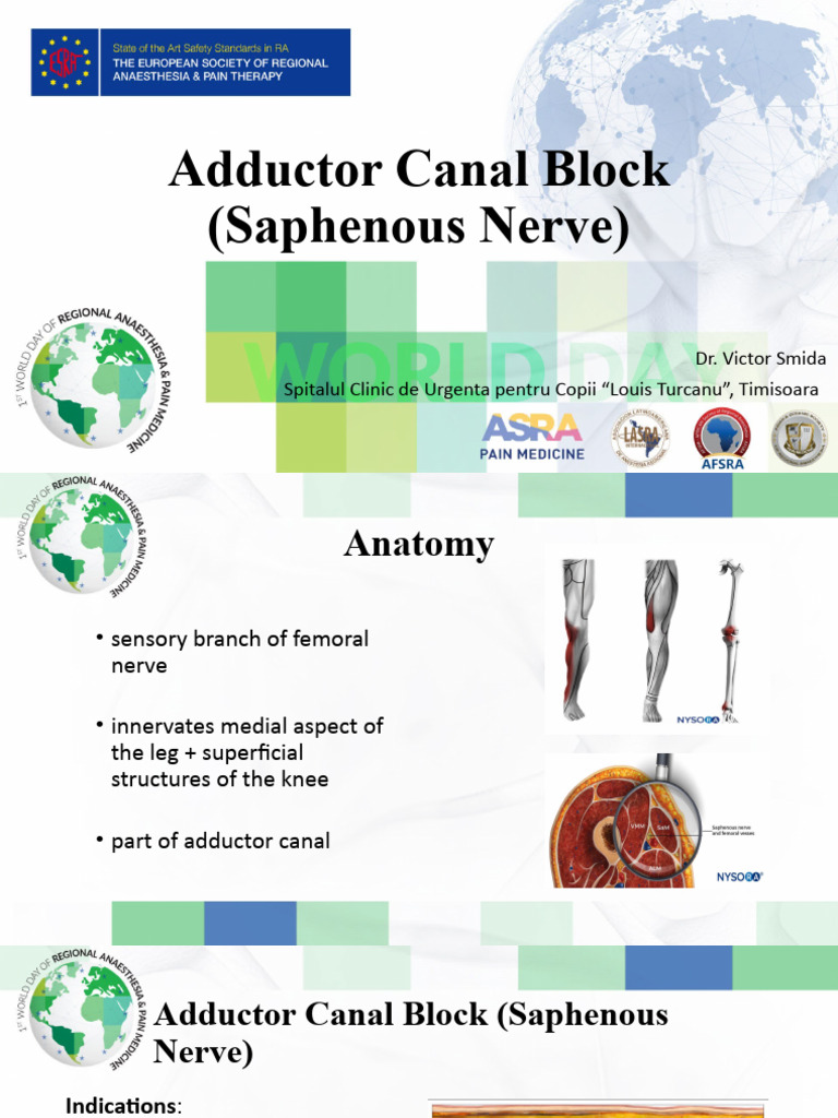 Adductor Canal Block Techniques and Indications | PDF | Medical ...