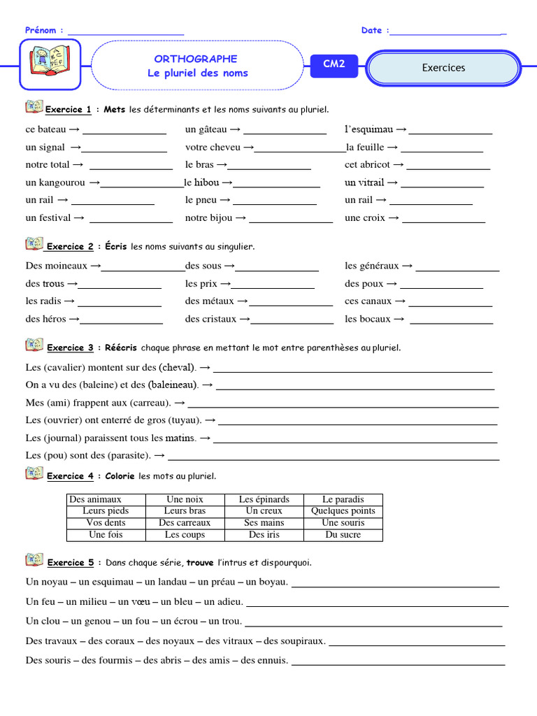 6-le_pluriel_des_noms | PDF