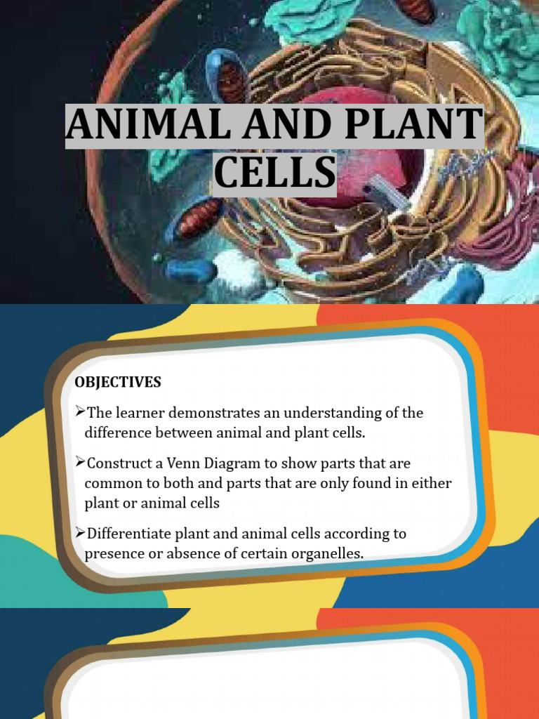 Animal and Plant Cells | PDF