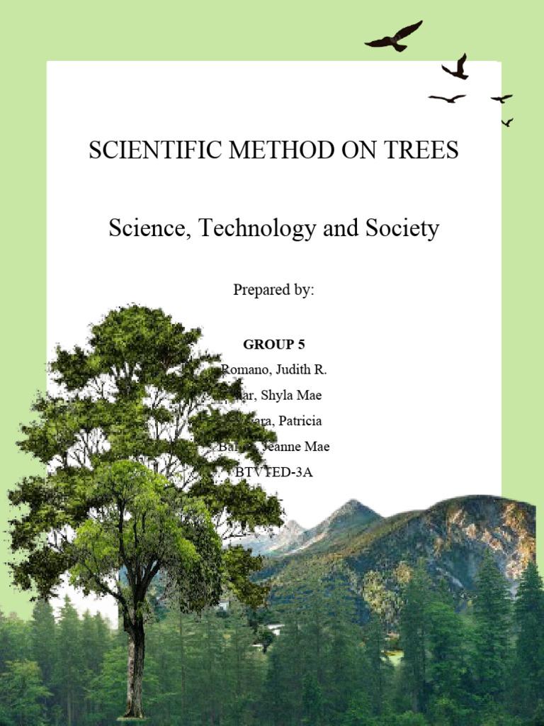 Sts Treeproject Pdf Home Garden