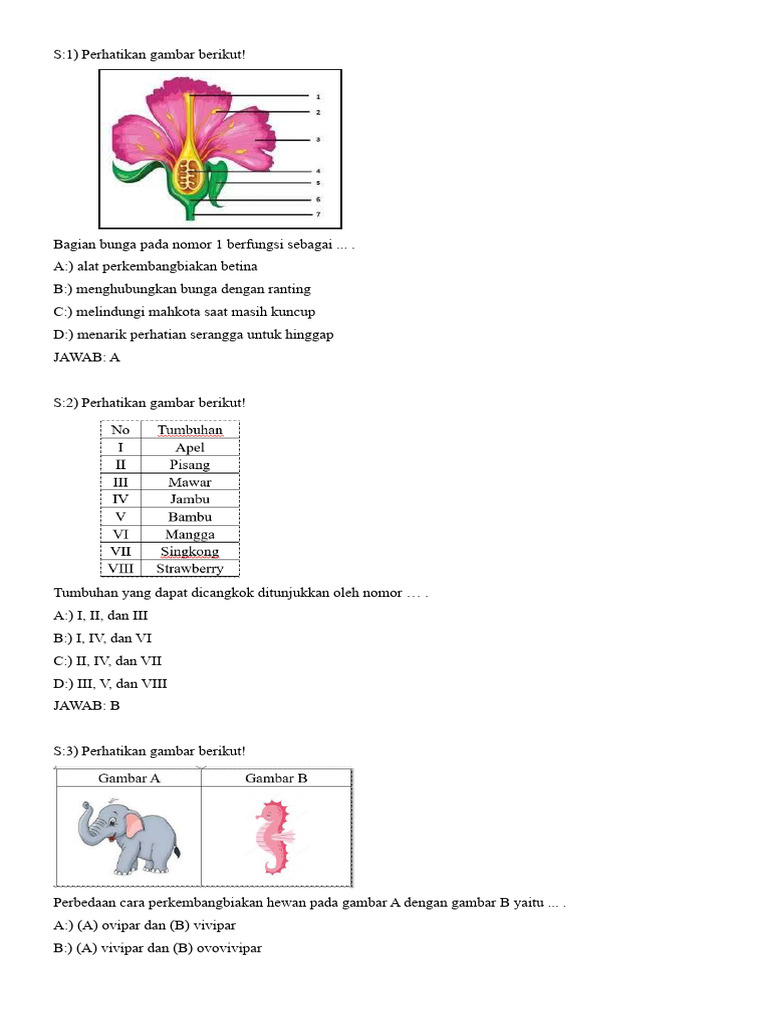 Soal Ipa KLS 6 | PDF