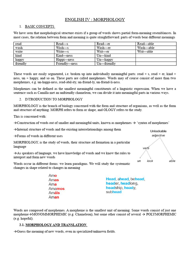 Morphology Exam Notes Pdf Word Morphology Linguistics