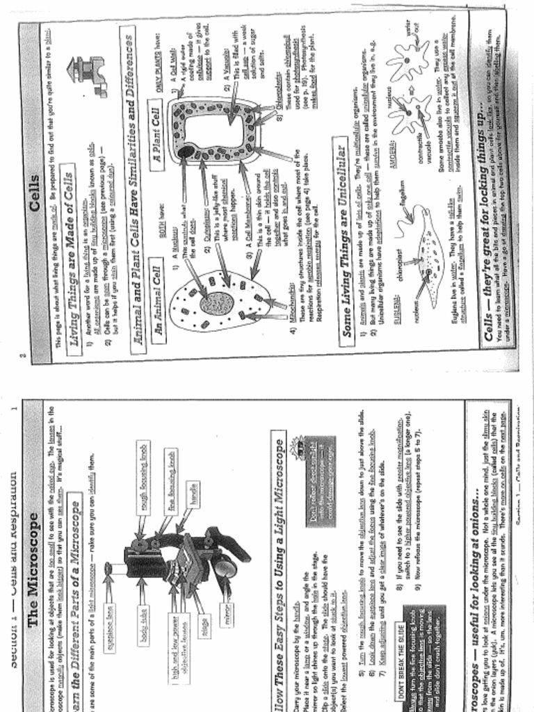 Ks3 Science Cgp Revision And Questions Section 1 Cells And Respiration Pdf