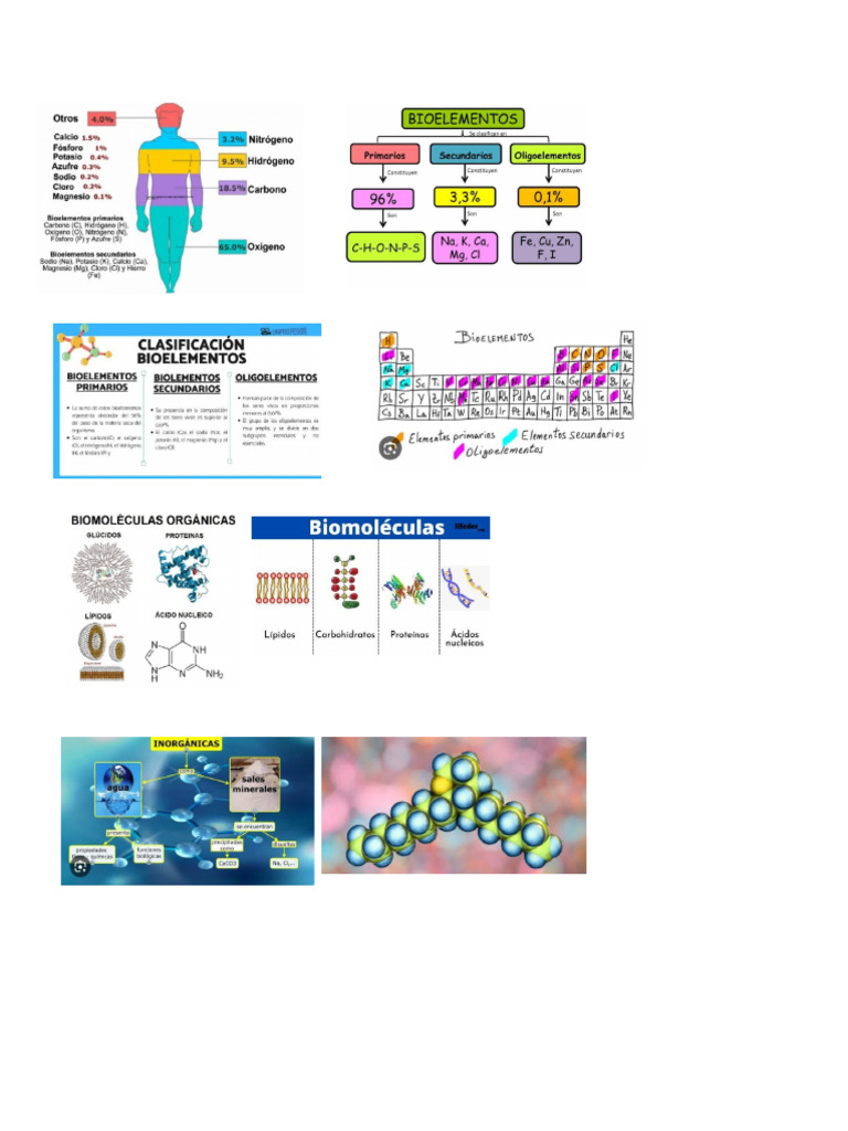 Biomoleculas Pdf