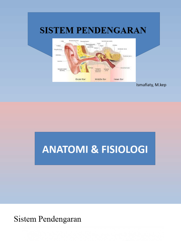 Kul 2 &10 Sistem Pendengaran 2 | PDF
