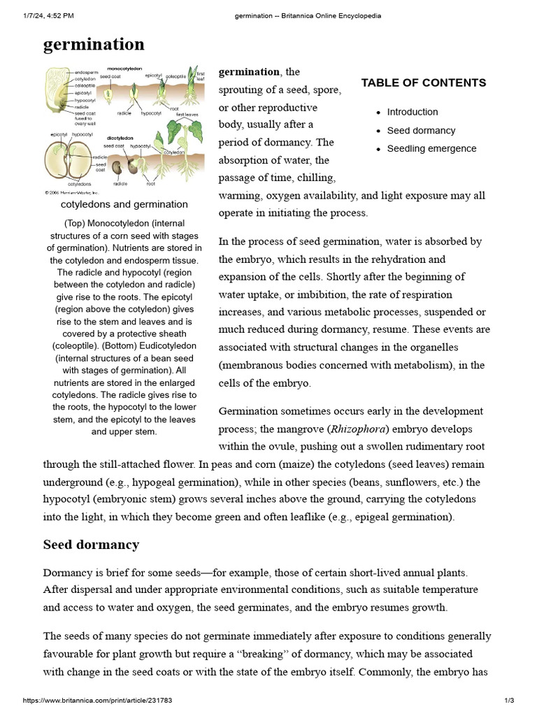 Germination - Britannica Online Encyclopedia | PDF | Seed | Germination