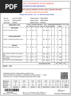 Sample SPPD Template | PDF | Learning | Mentorship