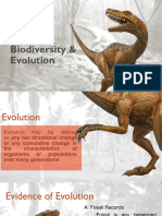 Notes On Evolution | PDF