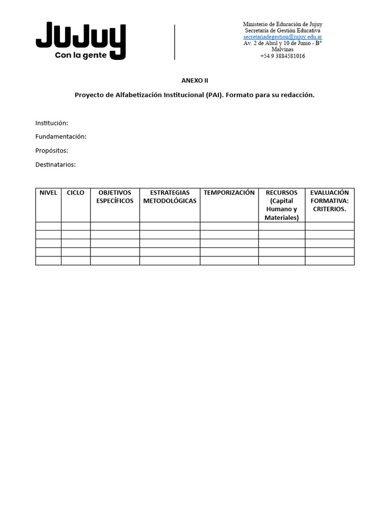 Anexo Ii Formato Pai | PDF