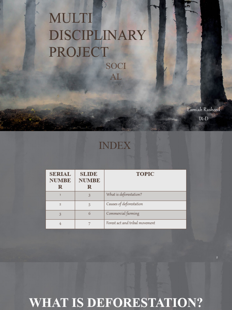 Deforestation Project Pdf