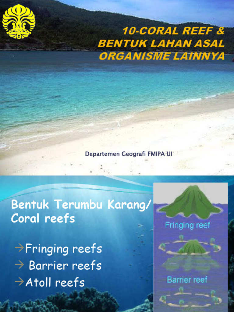 10-Coral Reef Organisme | PDF