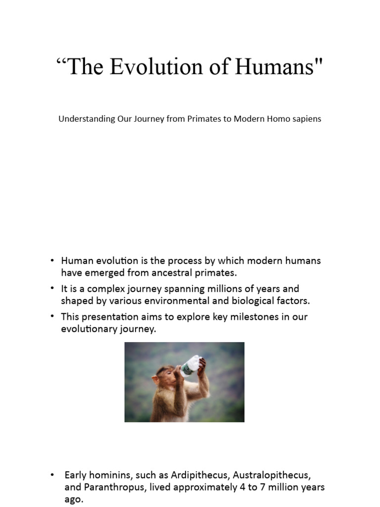 Human Evolution: From Primates to Today | PDF | Social Science | Travel