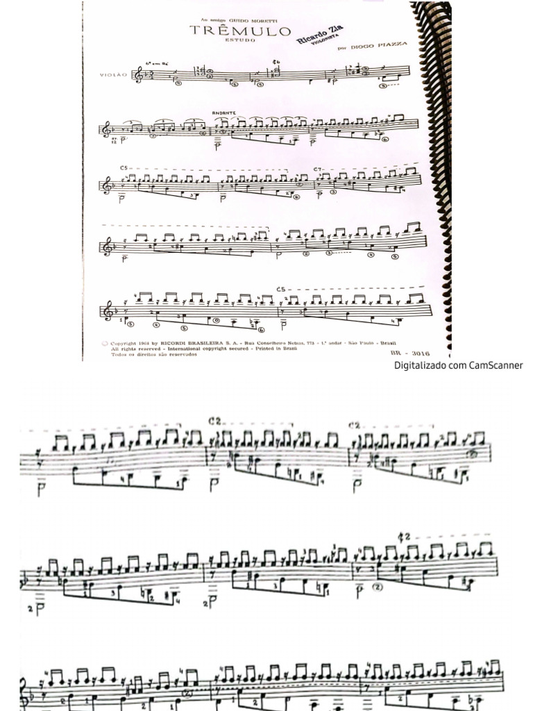 Tremulo Diogo Piazza | PDF
