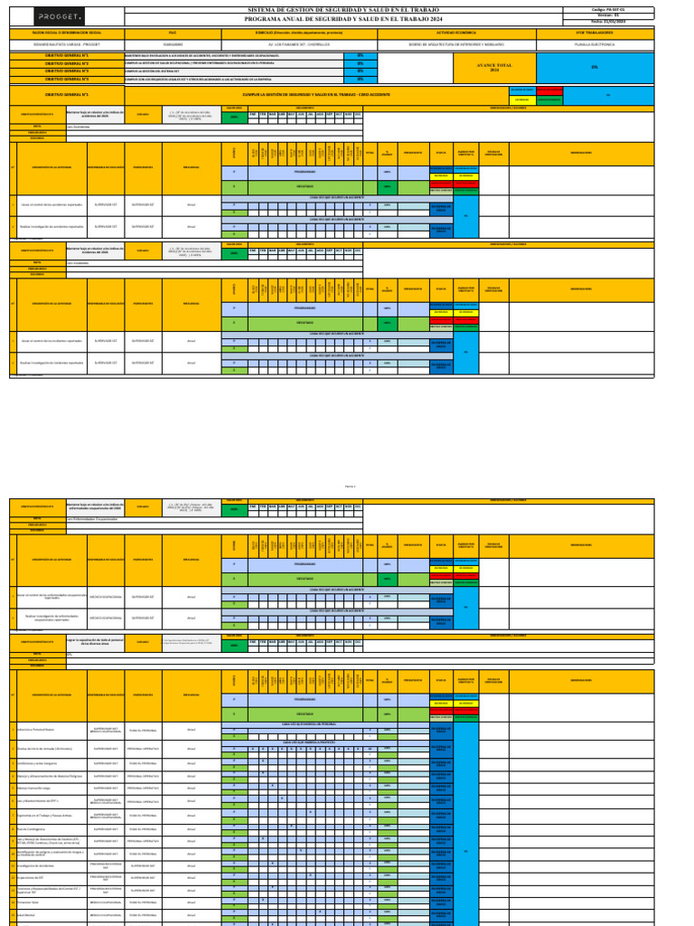 Programa Anual SST - V.01 | PDF