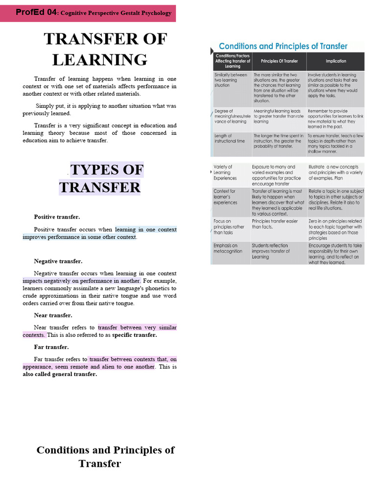 TRANSFER LEARNING | PDF