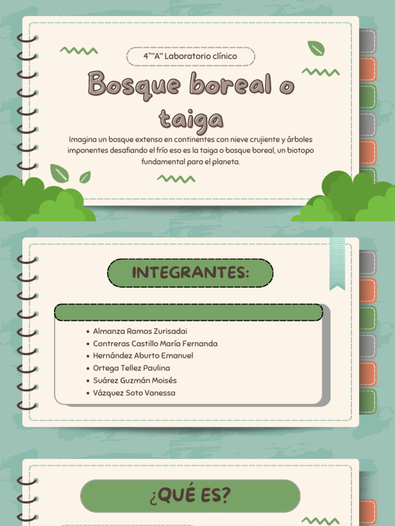 Bosque Boreal o Taiga | PDF | Biogeografia | Ciencias de la Tierra