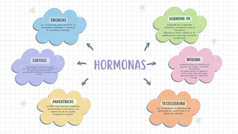 Mapa Mental de Hormonas FF | PDF