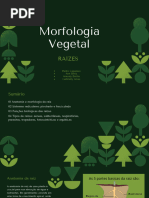 Raízes Adventícias: Exemplos e Funções | PDF | Raiz | Morfologia vegetal