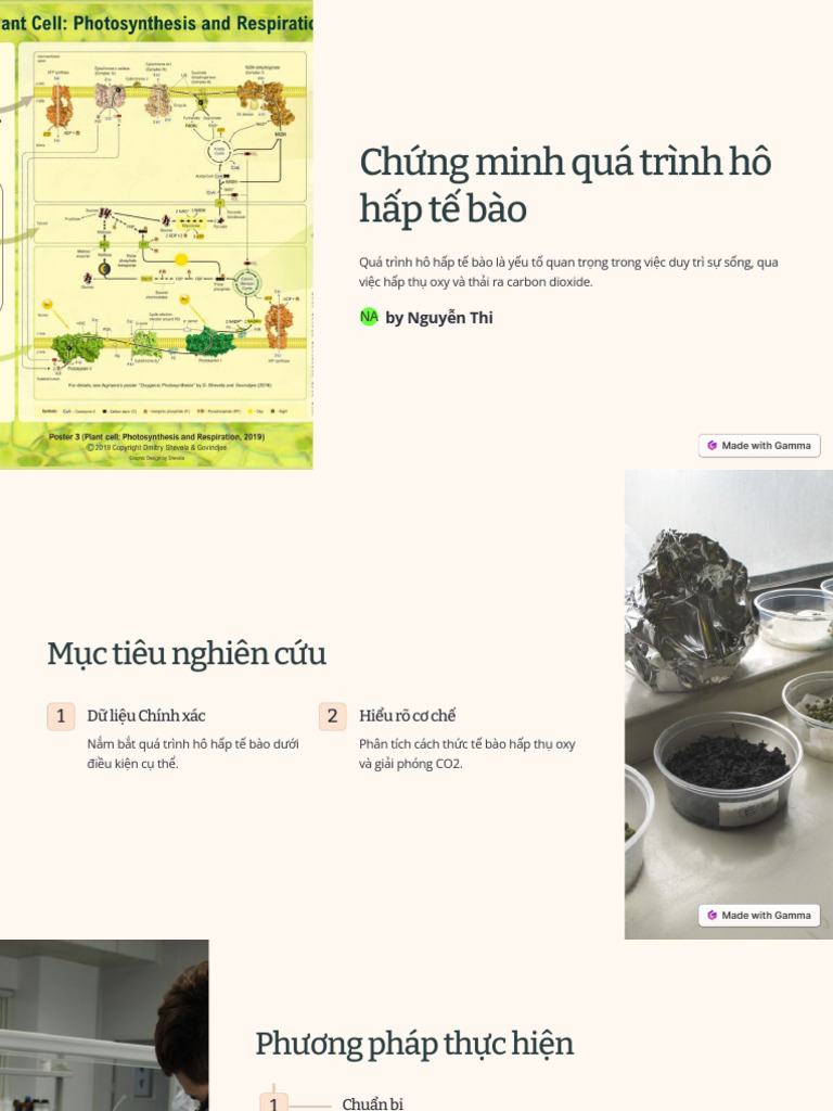Chung Minh Qua Trinh Ho Hap Te Bao | PDF