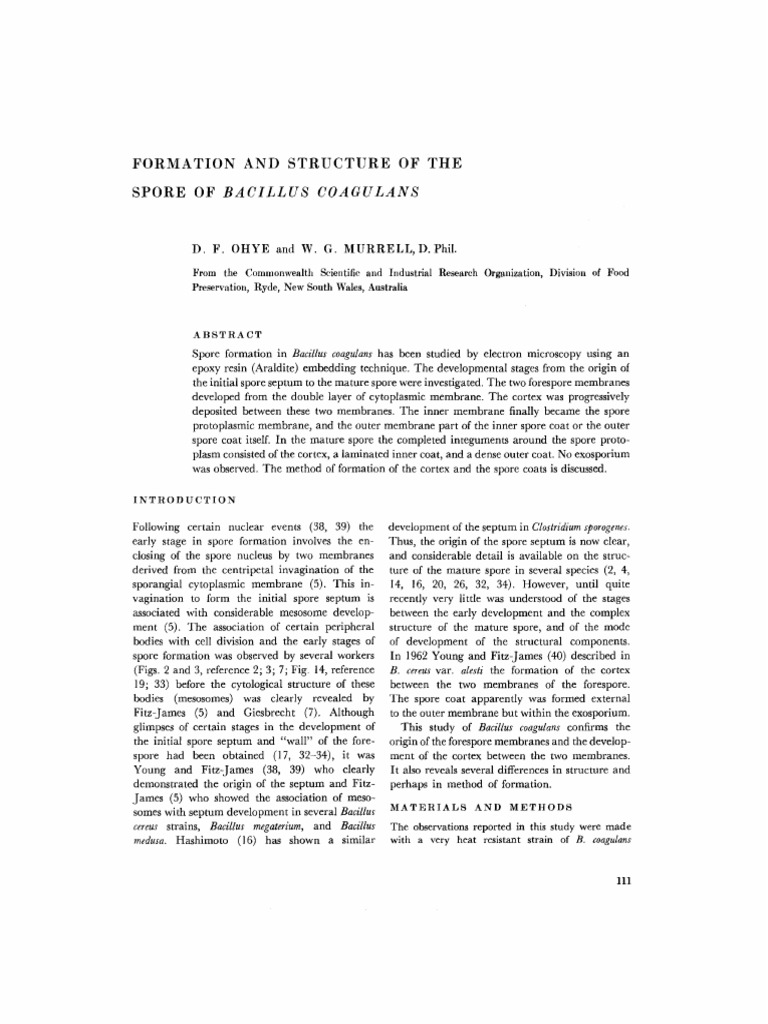Spore Formation in Bacillus Coagulans | PDF | Cell Membrane | Cell ...