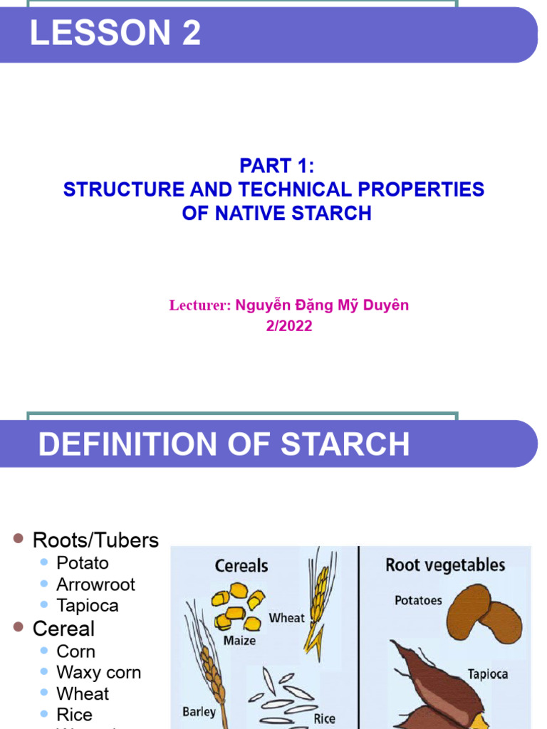 Starch Structure & Modification | PDF | Starch | Ester