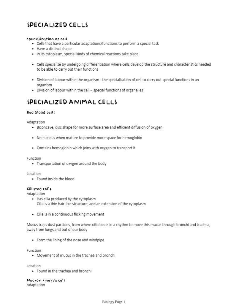 SPECIALIZED CELLS | PDF | Cell (Biology) | Nerve