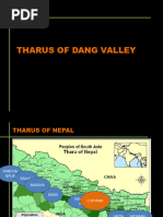 Avocado Stages of Ripeness Chart | PDF | Avocado | Edible Fruits