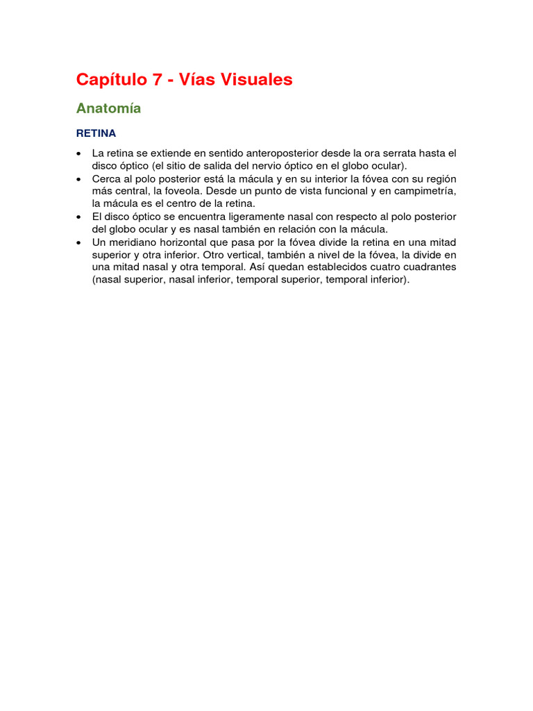 Brazis Capitulo 7 - Vias Visuales | PDF | Percepción visual | Retina