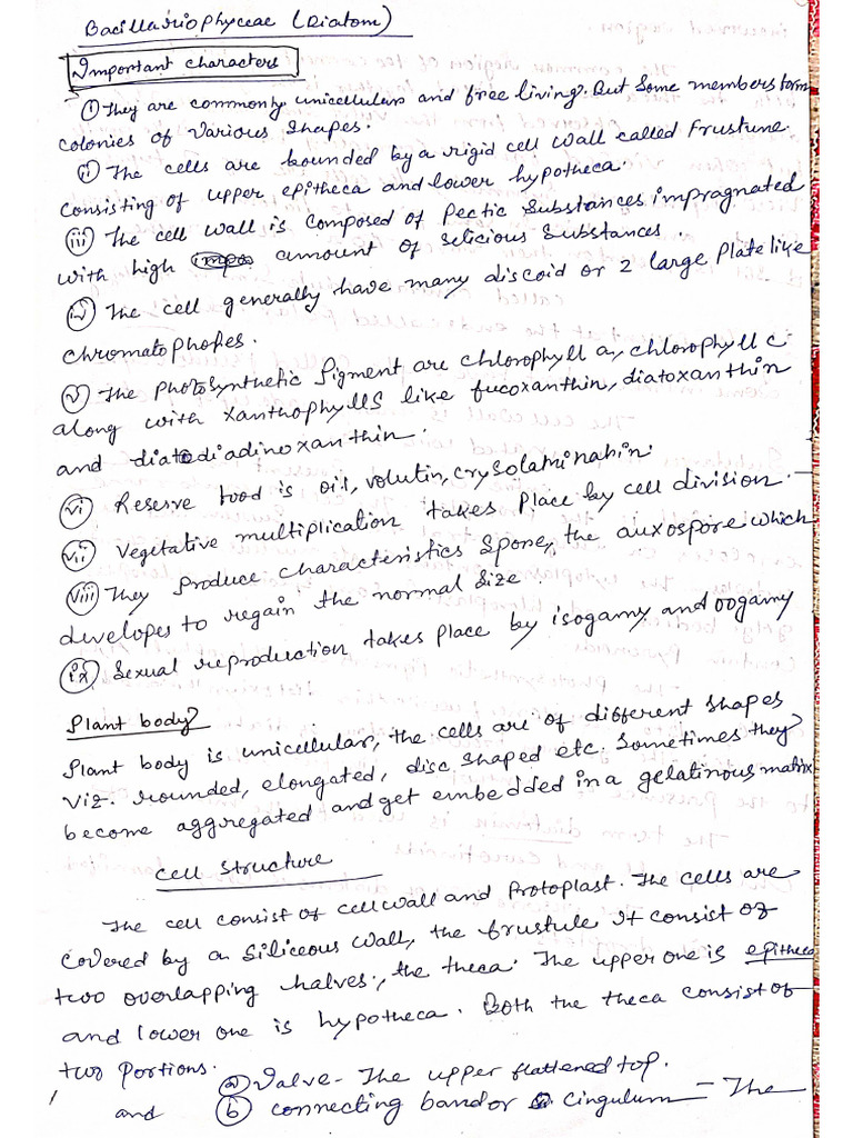 Botany 3rd Sem Theory | PDF