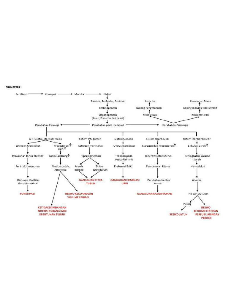 WOC Kehamilan Trimester 1 | PDF