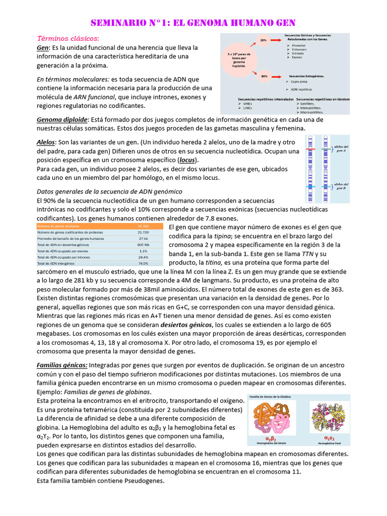 GENETICA | PDF | Alelo | Cigosidad