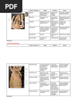 Muscle OIA | PDF | Vertebral Column | Vertebra