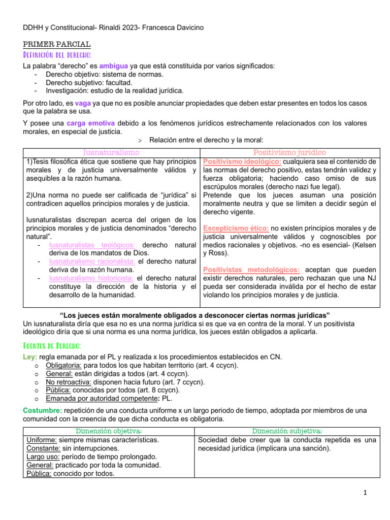 Final DDHH y Consti-Rinaldi 2023 - FD | PDF | La Ley natural | Derecho ...