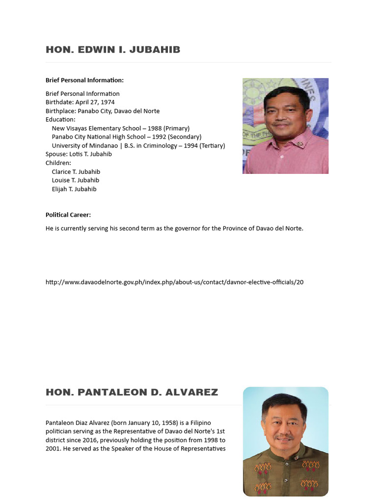 Lgu Profile | PDF | Philippines | Government