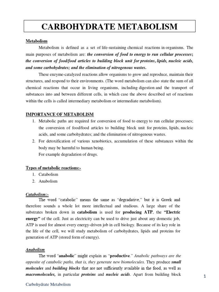 Carbohydrate Metabolism Overview | PDF | Glycolysis | Diet & Nutrition