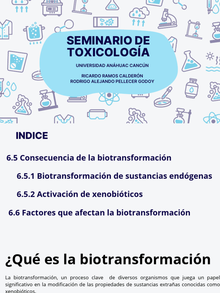 Seminario de Toxicología | PDF | Biotransformación | Toxicidad