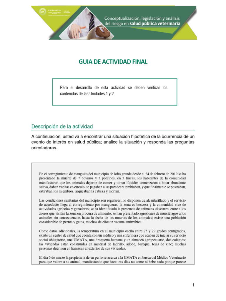 Guía Actividad - Final | PDF