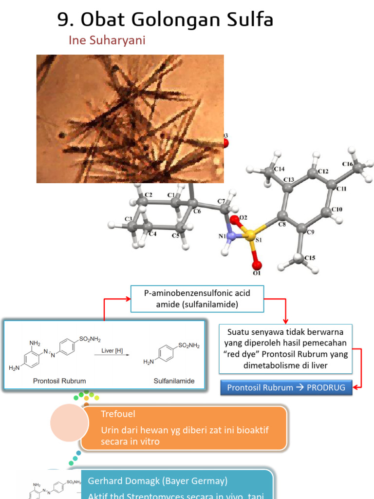 Panduan Obat Sulfonamida | PDF