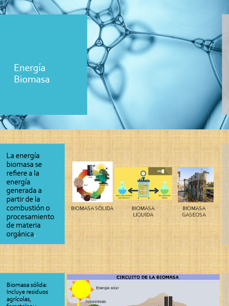 Presentacion Energia Biomasa | PDF | Biomasa | Vapor