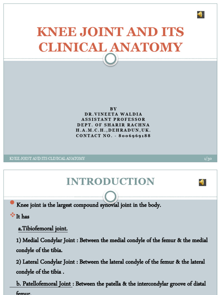 Bams 1st Year Knee Joint and Its Clinical Anatomy | PDF | Knee | Lower ...