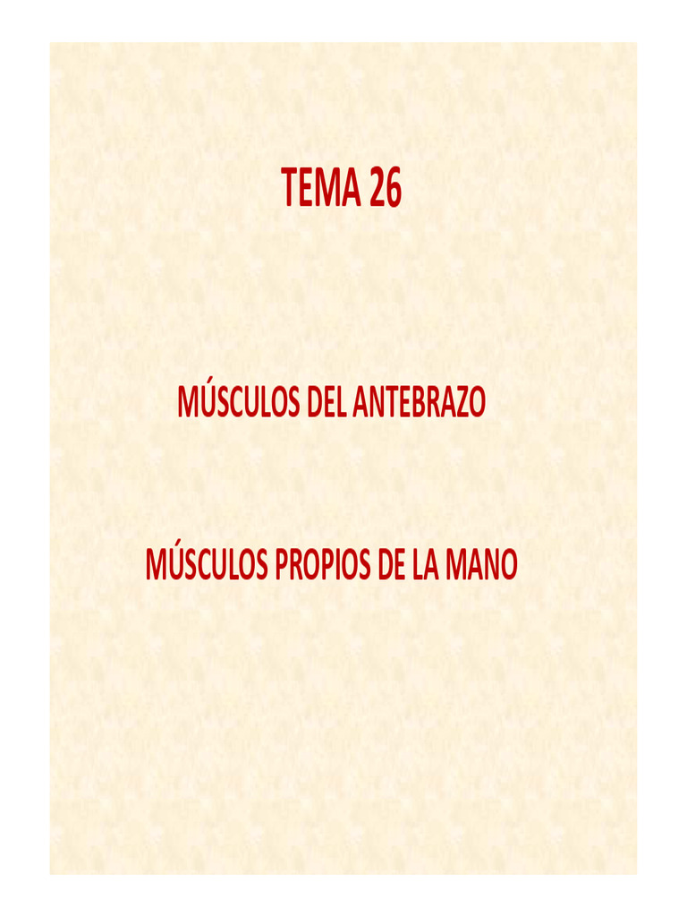 Tema 26. Músculos del antebrazo | PDF | Mano | Tejido suave