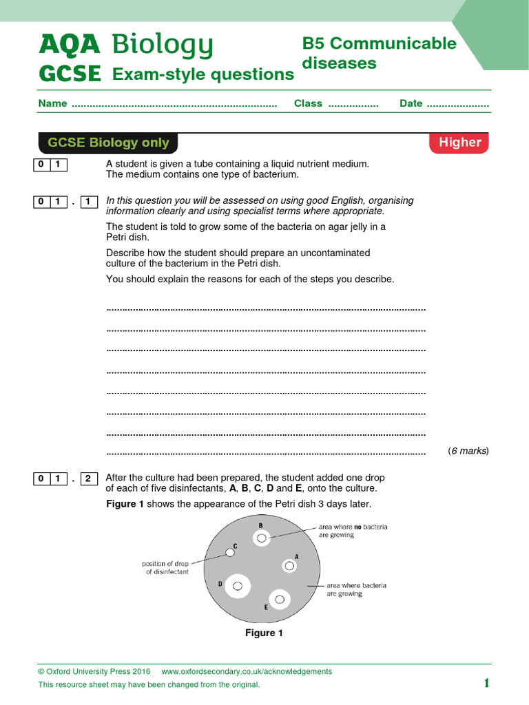 B05 Questions | PDF | Infection | Bacteria
