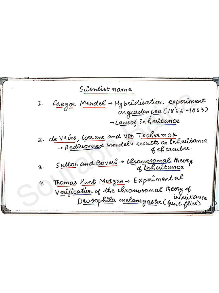 All Scientists Ncert Class 12 | PDF