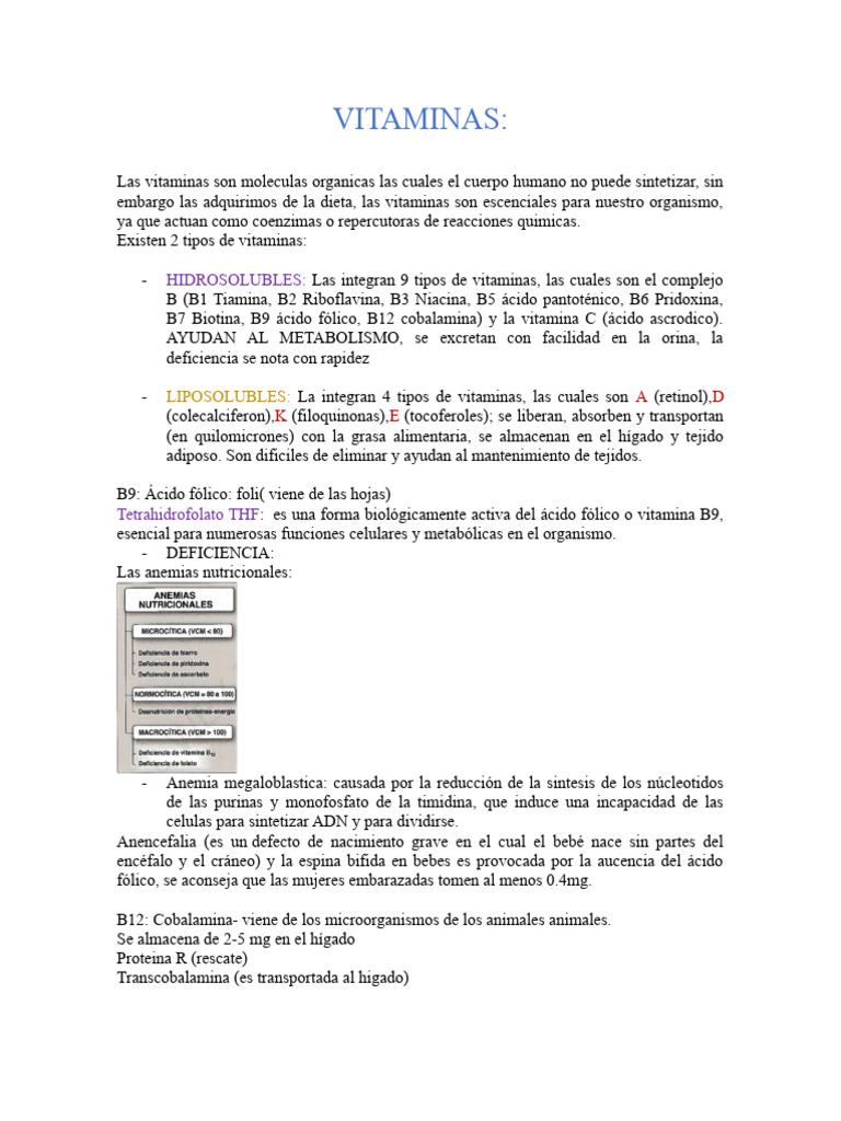 Importancia de las Vitaminas Hidrosolubles | PDF | Vitamina ...