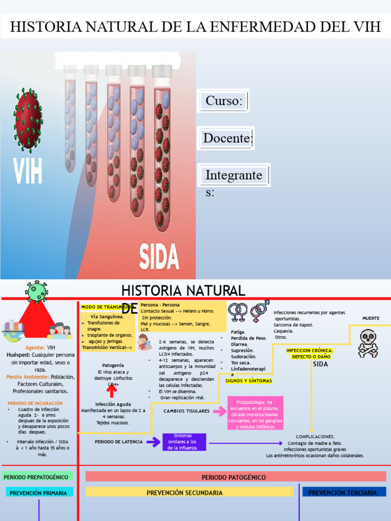 Historia Natural Del Vih | PDF | VIH | VIH / SIDA